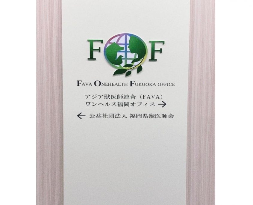 FOF News – FAVA